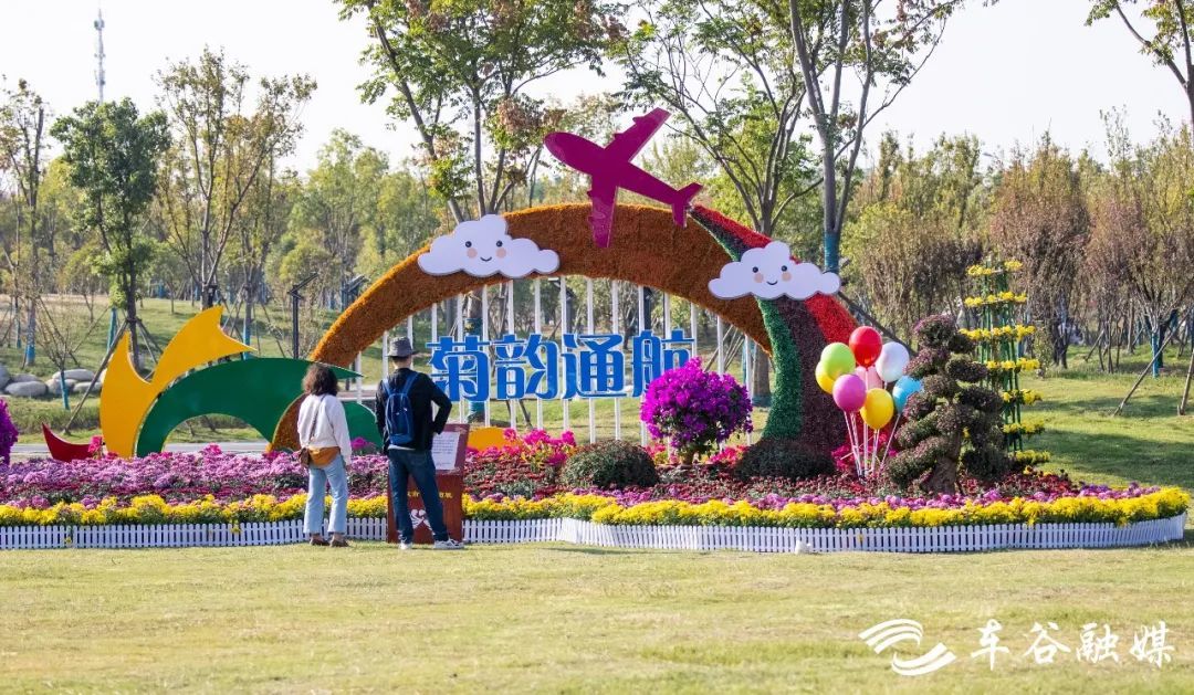 军山新城：30万盆菊花金秋斗艳-荆楚网-湖北日报网